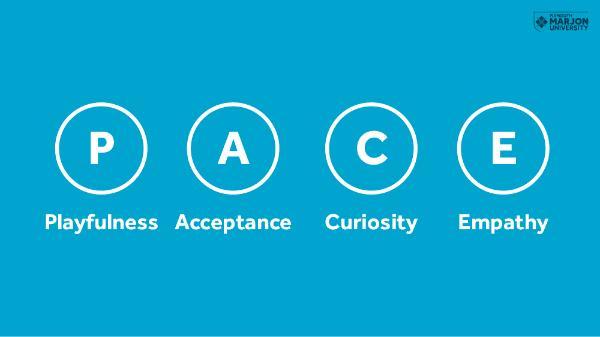 An introduction to child mental health theories | Plymouth Marjon ...